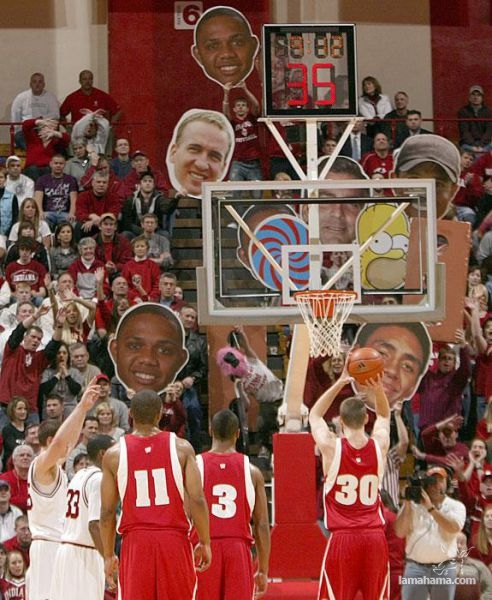 Awesome Basketball Fans